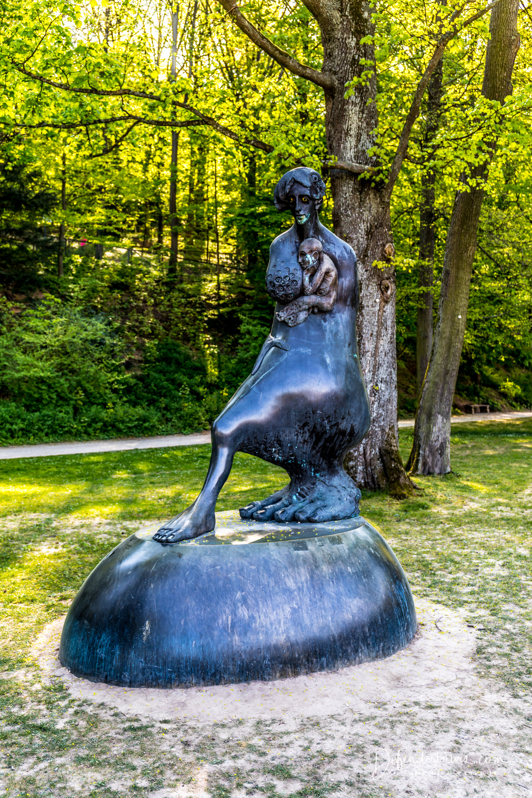 Photo Gallery – Defender Tours